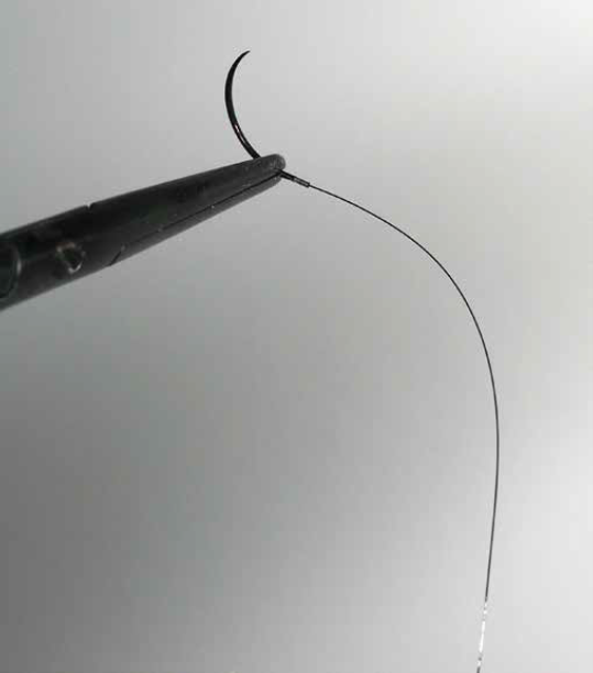 Wound edge approximation with RESOLON® ORAL 6/0 with ART 13mm - RAVIV ...